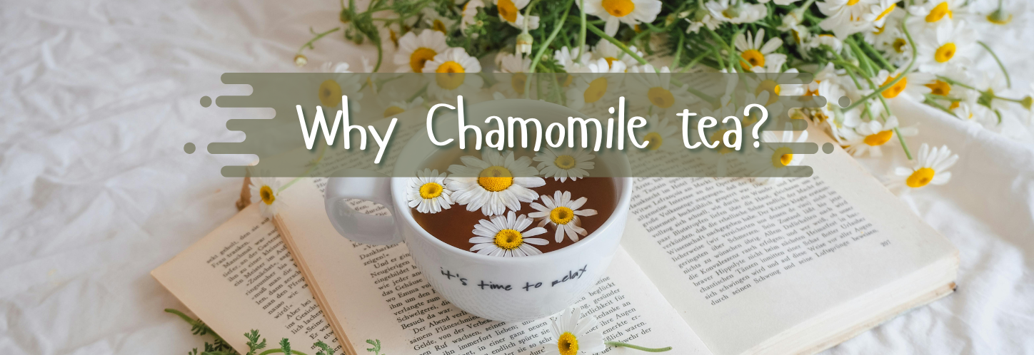 Sip Your Way to Calm: The Benefits of Chamomile... | Ecoyaan